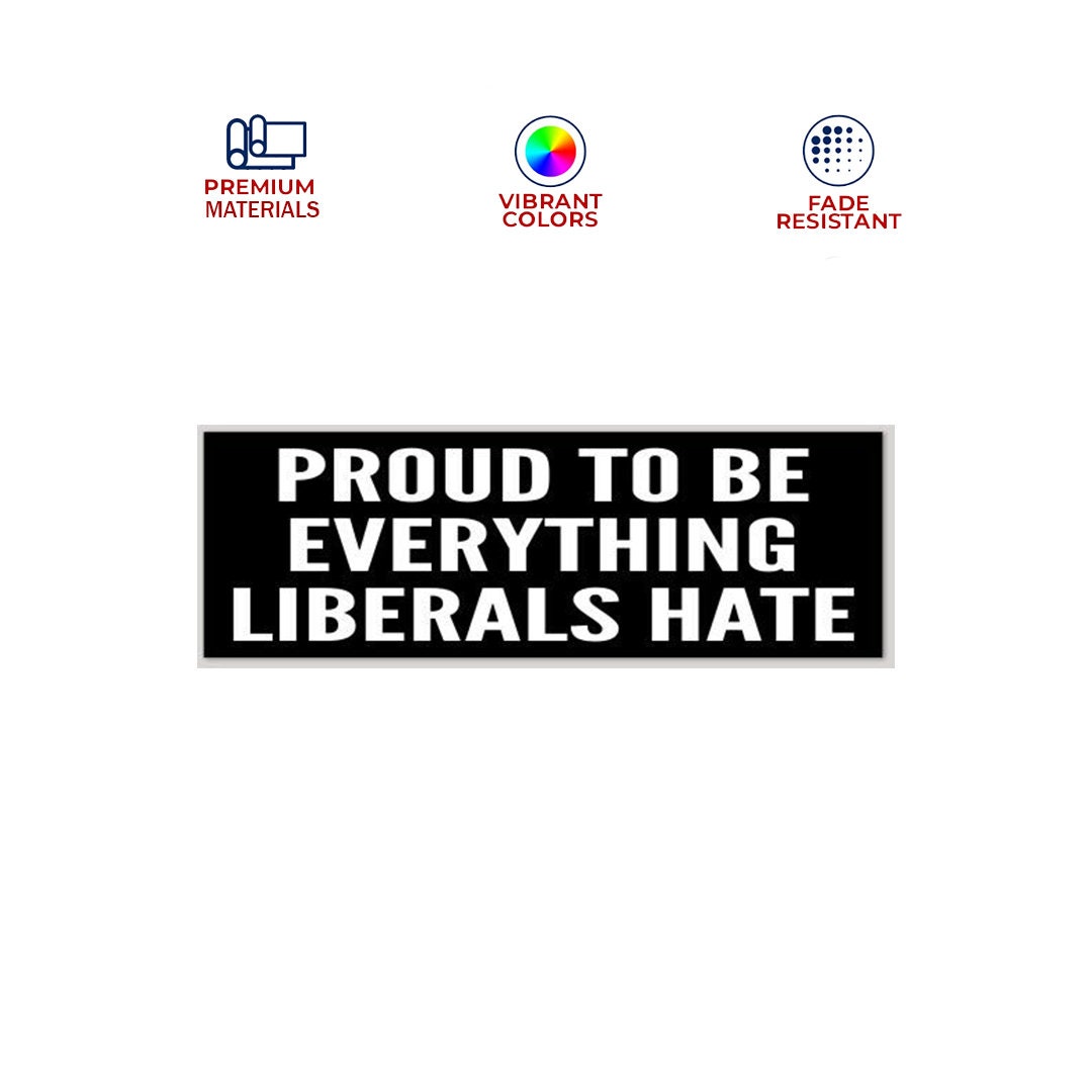 Anti-liberal Pro-trump Bumper Sticker **9"x3" Lets Go Brandon Desantis ...