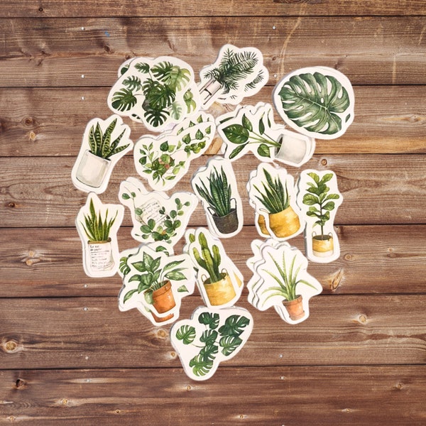 Plant Stickers - Etsy