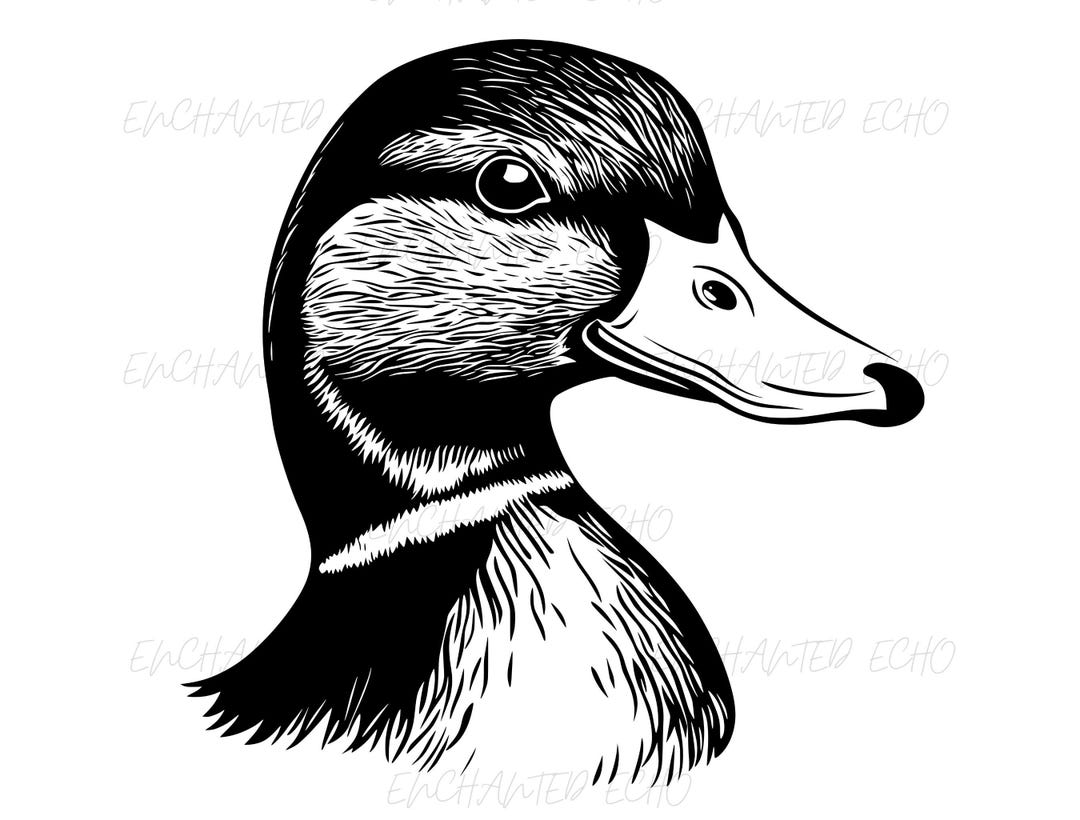Mallard Head Duck SVG + PNG Set - Etsy