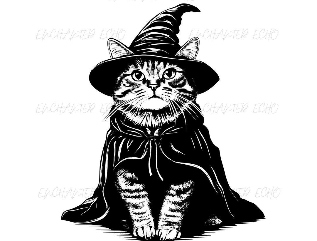 Halloween Cat SVG + PNG - Spooky Tabby Cat Png Witch Cat Svg Halloween ...