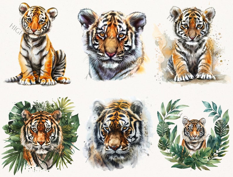 Tigers Clipart, Realistic Watercolor Style Tiger Graphics, Jungle ...