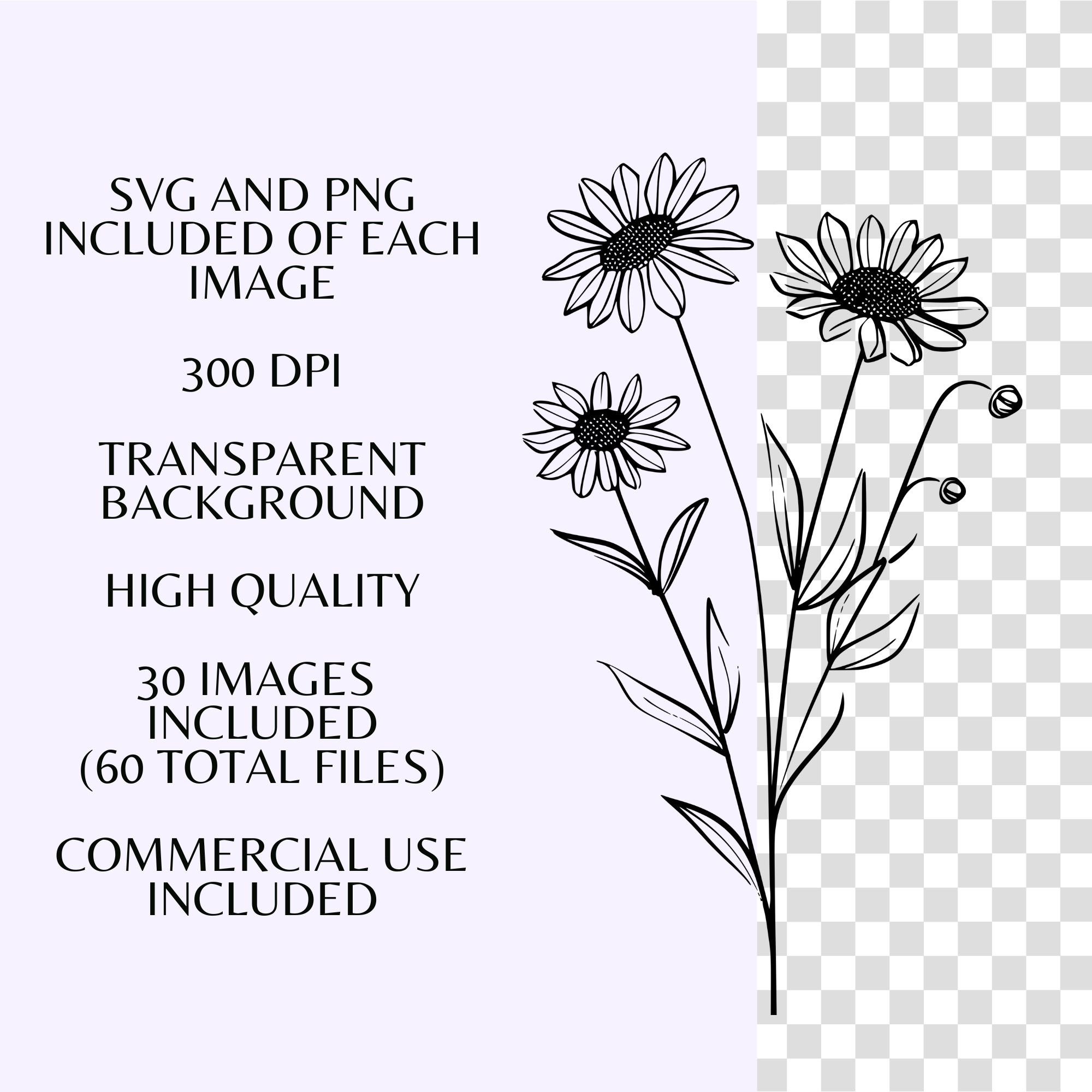 Wildflower Drawings SVG & PNG Bundle 30 Wild Flower Images, 60 Total ...
