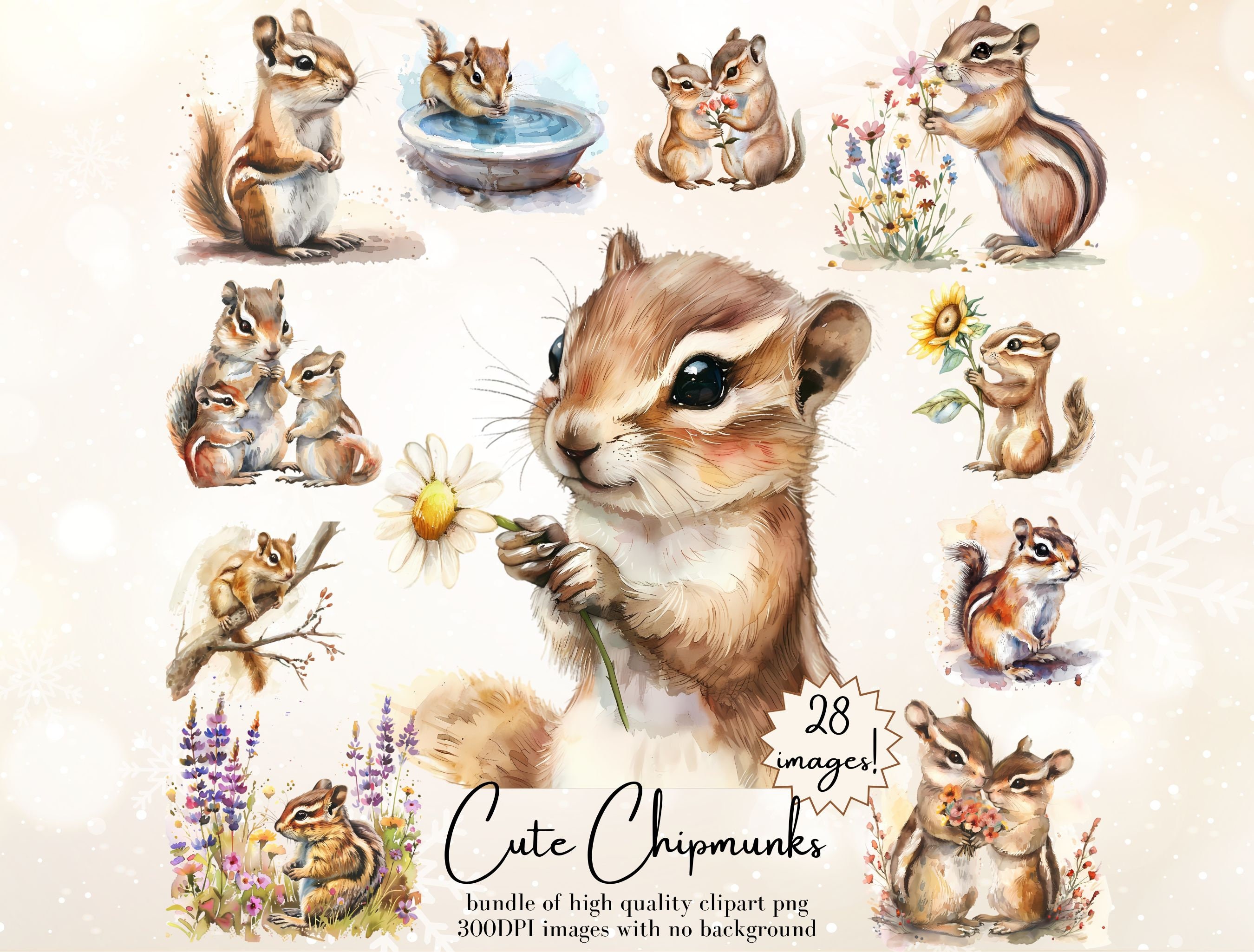 Cute Chipmunks Clipart Bundle Pack of 24 Images Woodland Baby Animals ...