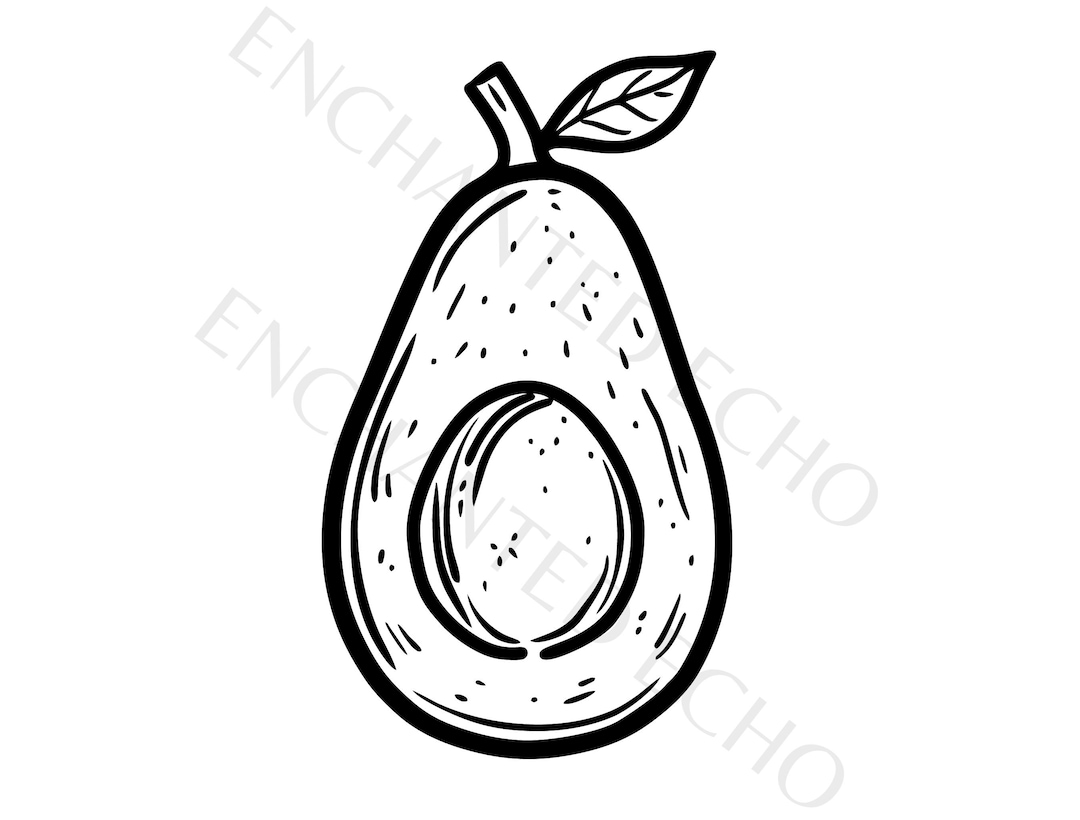 Avocado Svg + Png Fruit Vector - Etsy