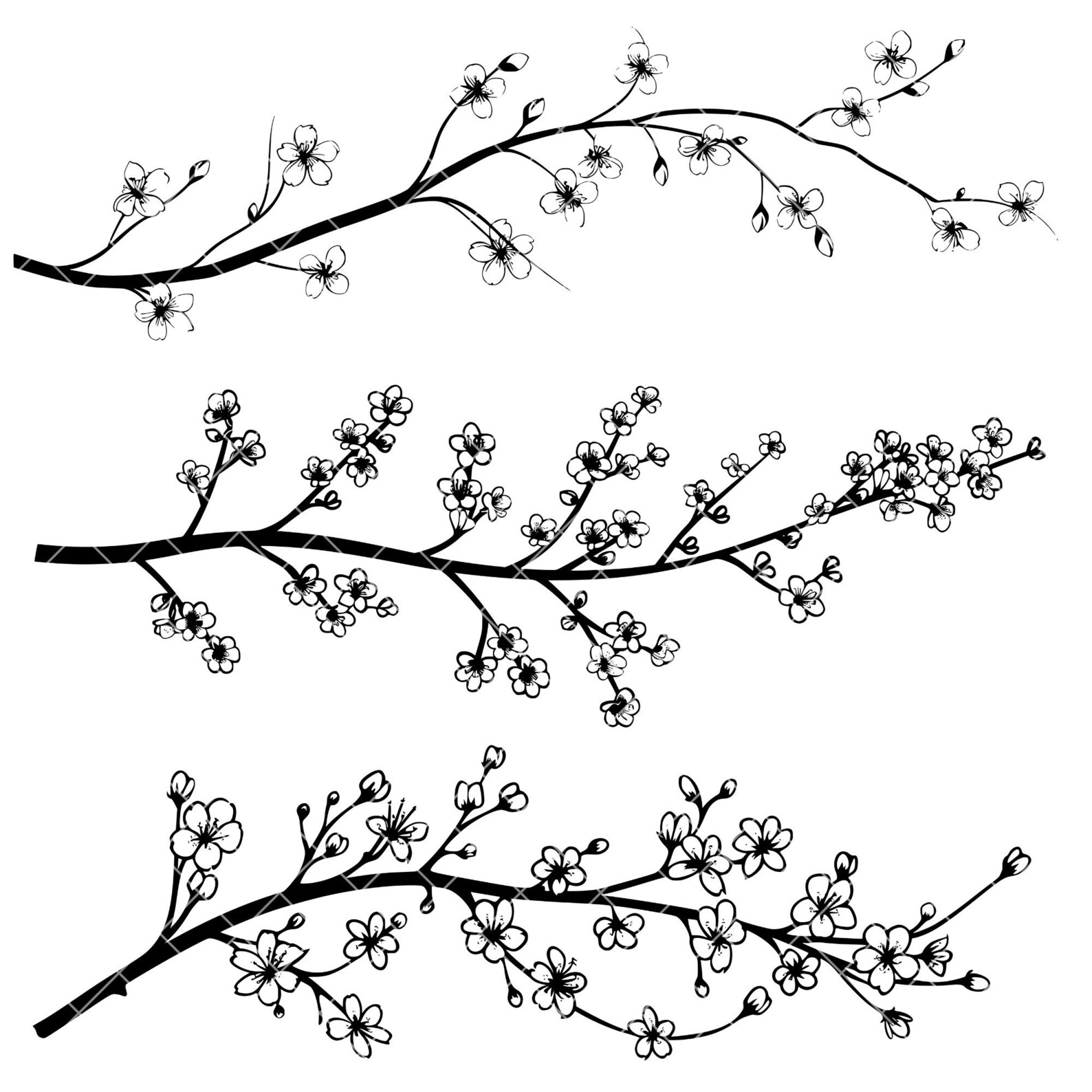 Cherry Blossom Branch Borders SVG + PNG Bundle – Floral Branches ...
