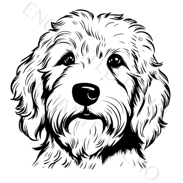 Goldendoodle - Etsy