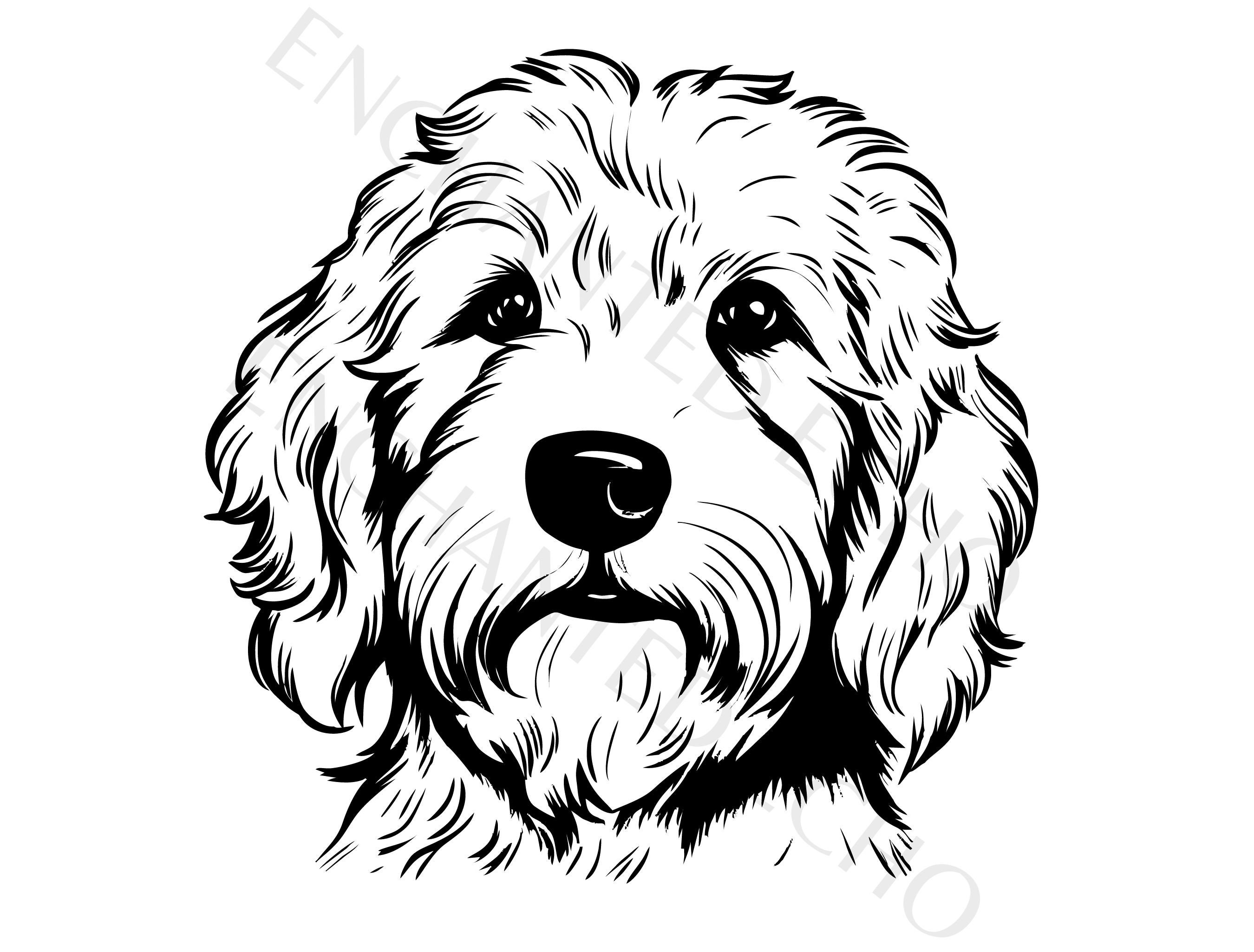 Goldendoodle Face SVG – Golden Doodle Dog Head Sublimation (digital ...