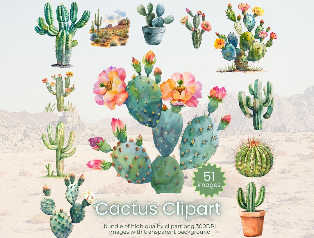 Watercolor Cactus Clipart – Desert Western Succulent PNG Images ...