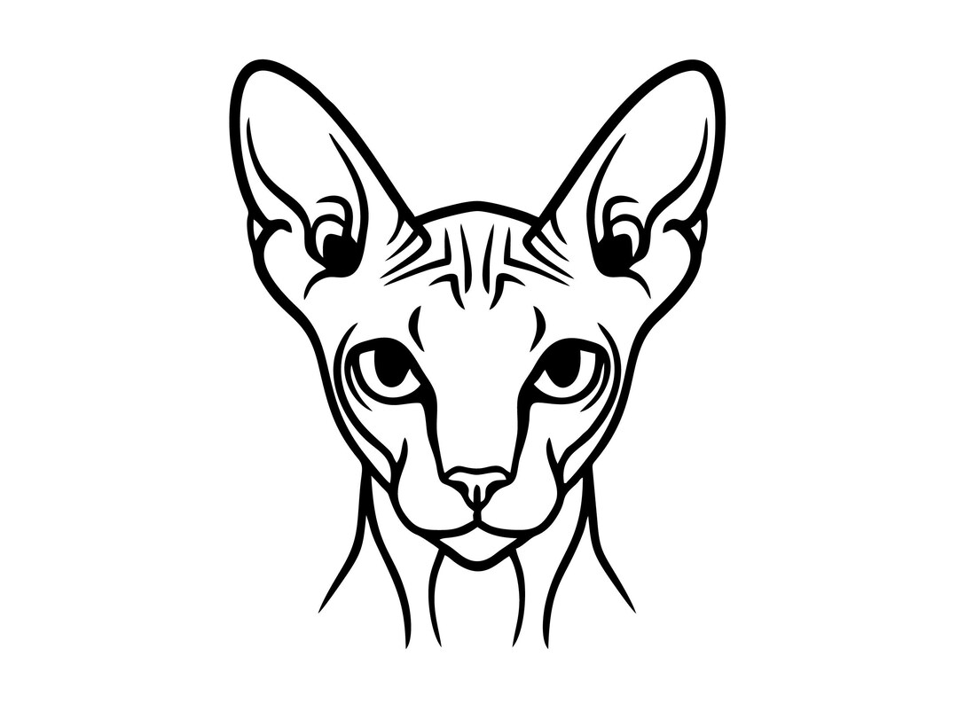 Sphynx Cat SVG + PNG Set - Sphynx Cats Face Clipart, Hairless Kitten ...