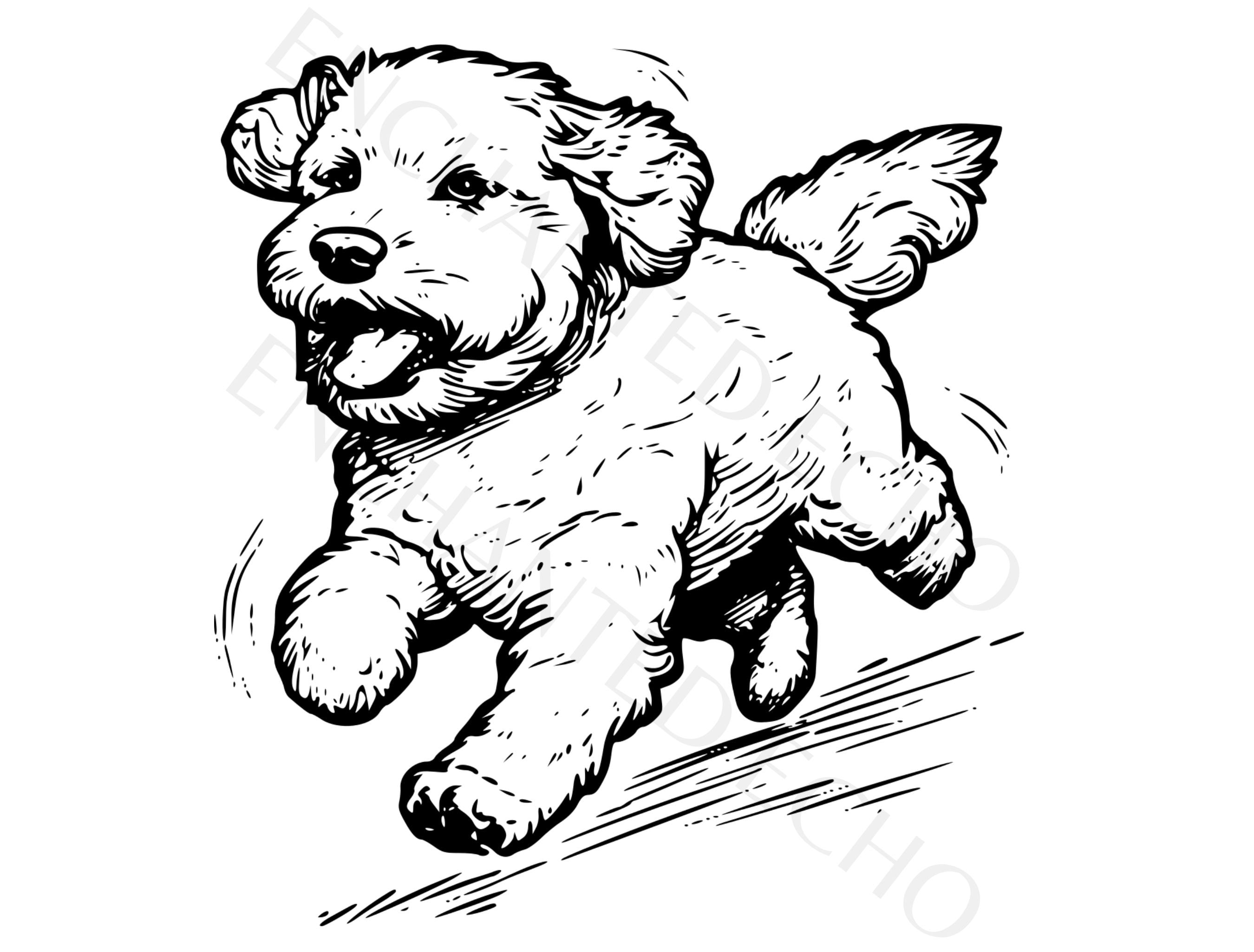 Running Goldendoodle Puppy SVG PNG Goldendoodle Dog Svg Puppy Svg Dog ...