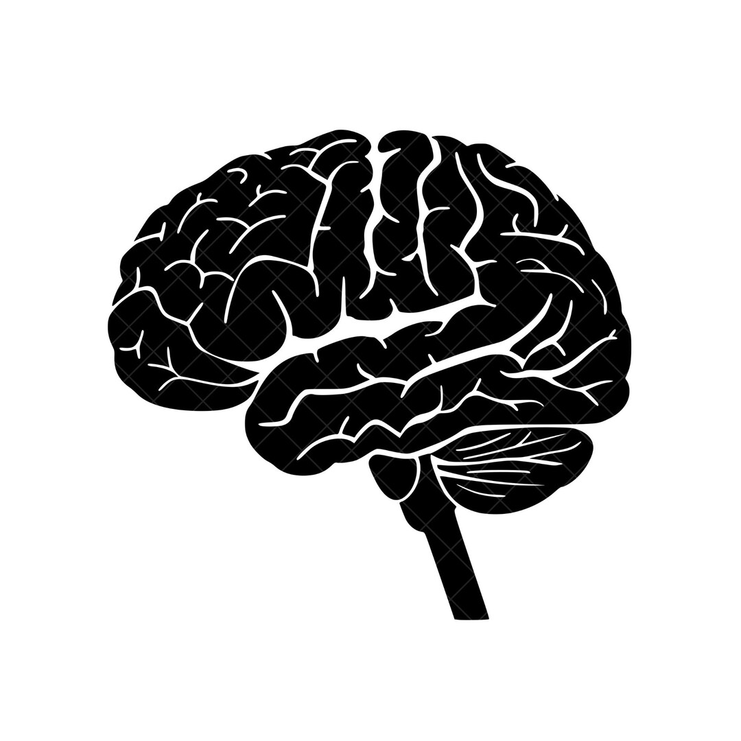Brain Silhouette SVG PNG Science Svg, Biology Svg, Human Body Svg ...