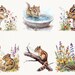 Cute Chipmunks Clipart Bundle Pack of 24 Images Woodland Baby Animals ...