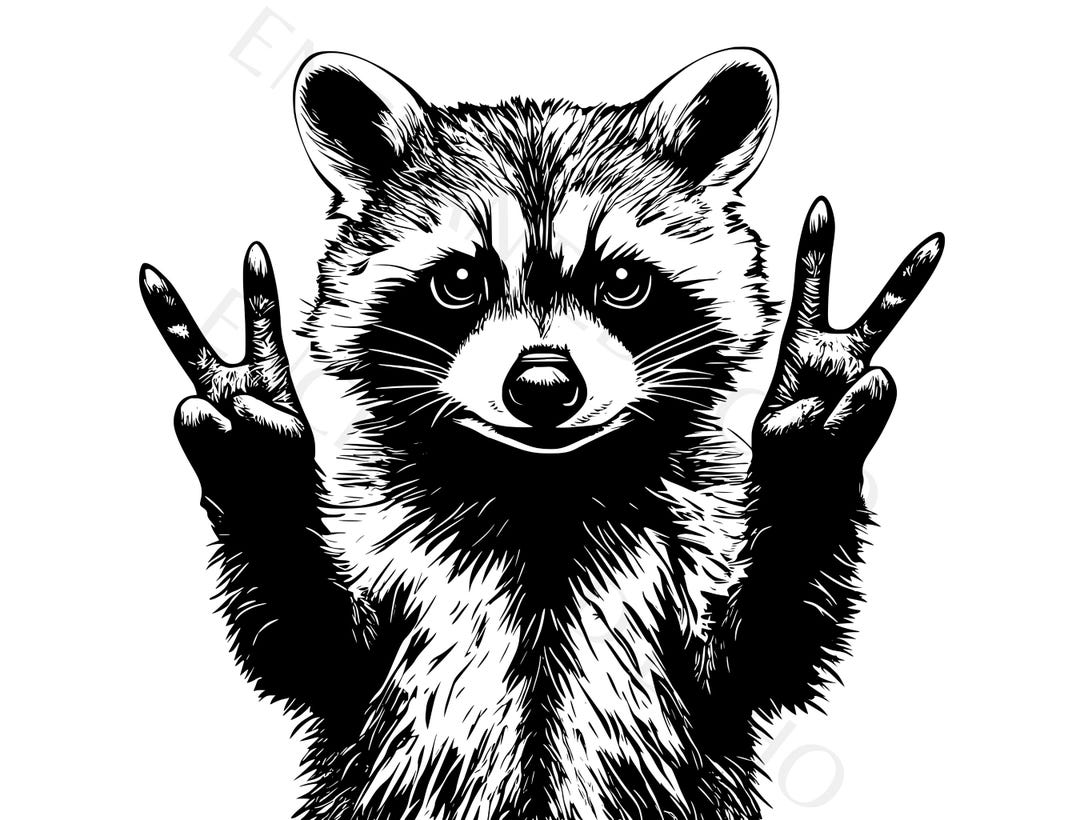 Peace Sign Raccoon Svg + Png Cute Raccoon SVG PNG - Etsy