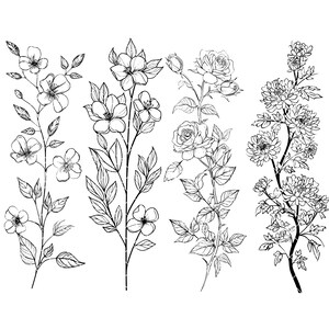 Vertical Floral Borders SVG & PNG Bundle - 24 Flower Images, 48 Total ...