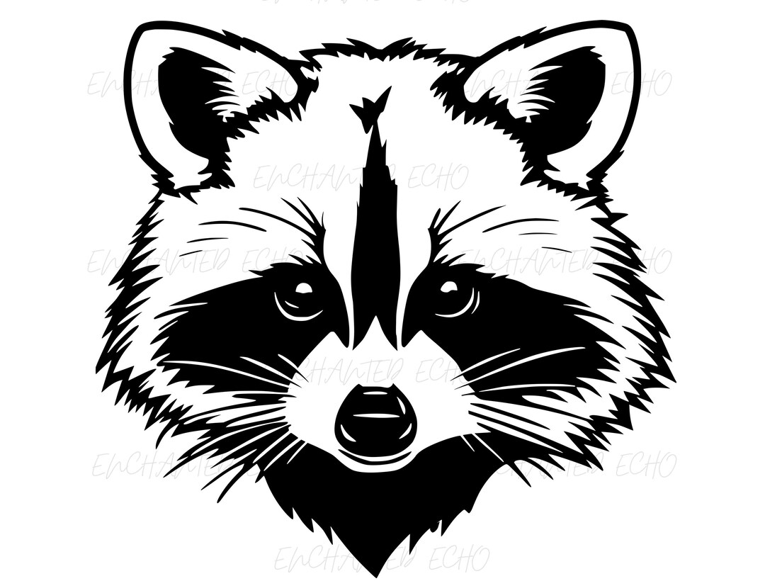 Raccoon Face Svg + Png Cute Raccoon SVG PNG - Etsy