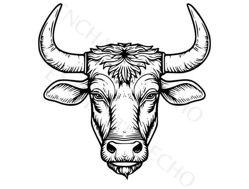 Bull Head SVG PNG Steer Farm Country Bull Svg Bull Head Silhouette Bull ...