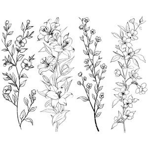 Vertical Floral Borders SVG + PNG Bundle – Delicate Flower Sketch ...