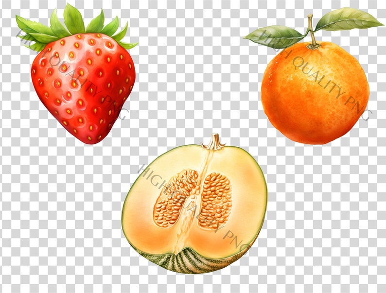 Colorful Summer Fruit Clipart Bundle Set of 45 PNG Watercolor Fruit ...