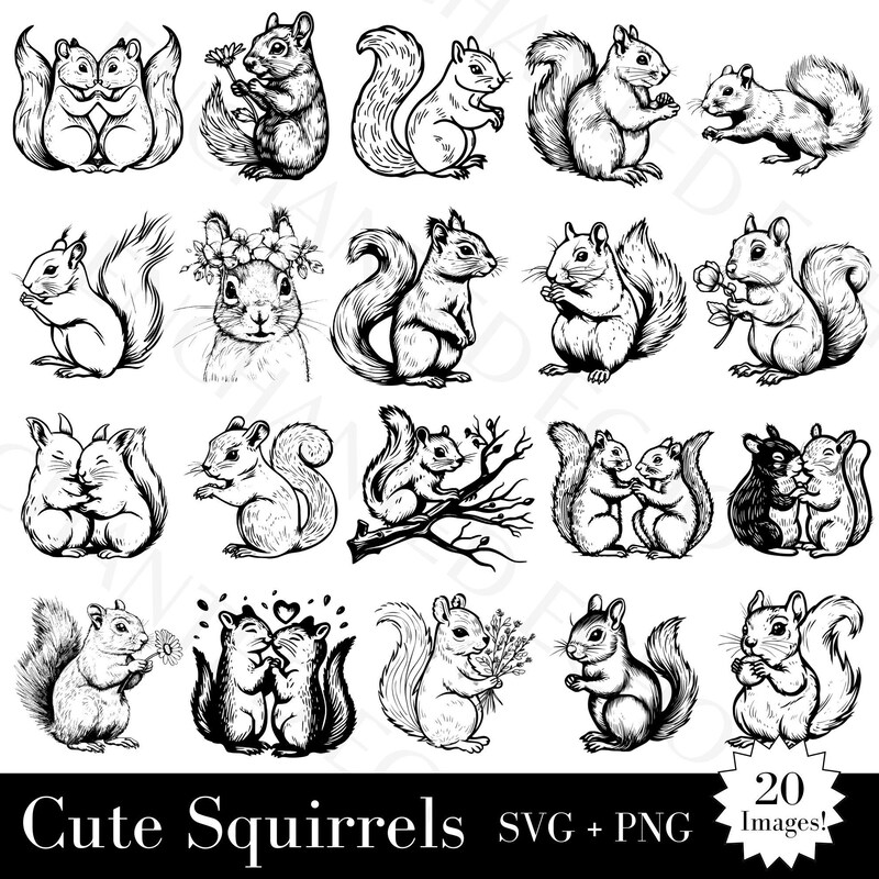 Squirrel Svg - Etsy