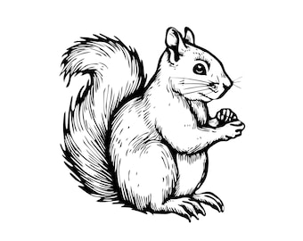 Squirrel Svg Simple Squirrel Png Cute Squirrel Svg Squirrel Clipart ...