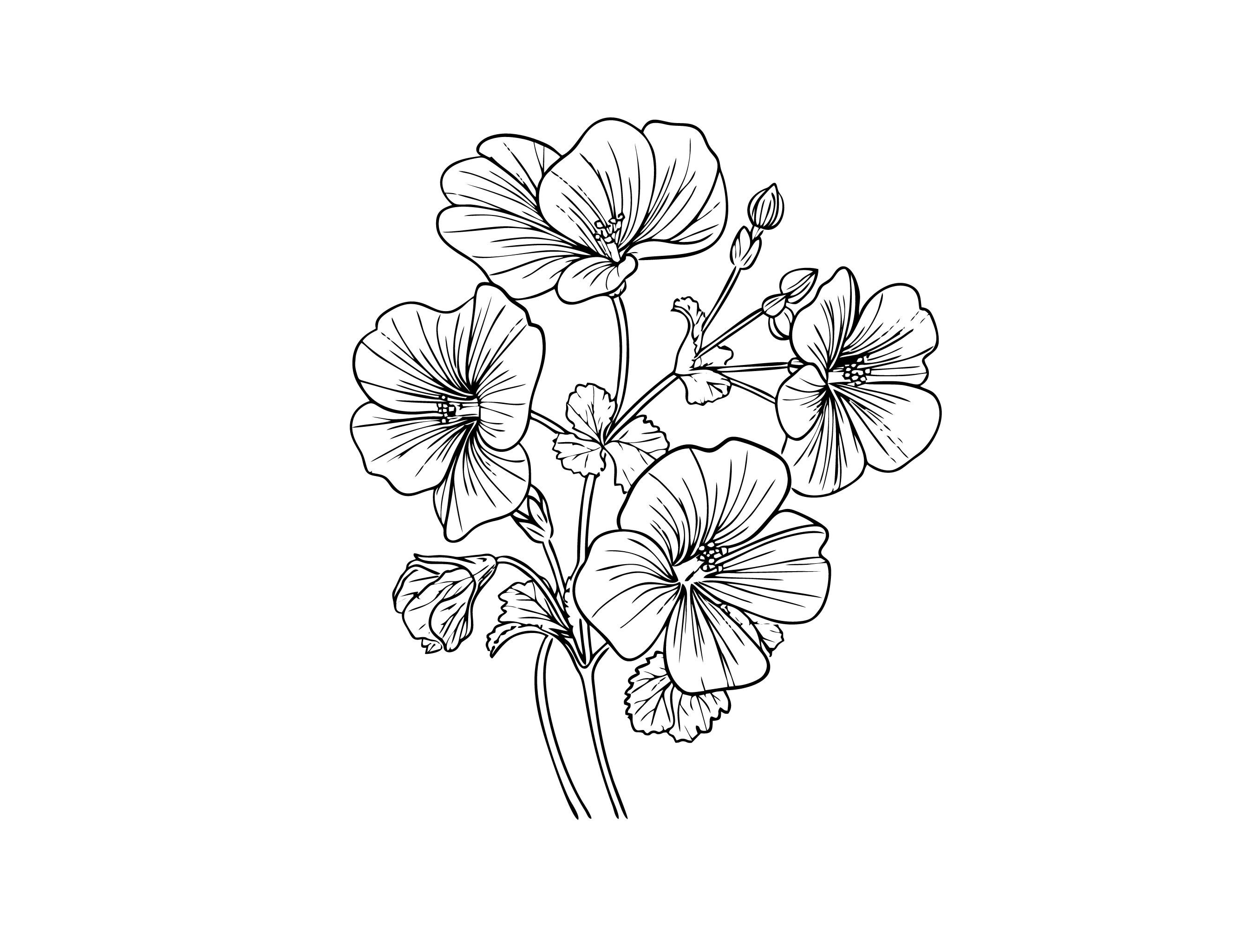 Geranium Flowers SVG Floral SVG Delicate Wild Flower SVG Flower Bouquet ...