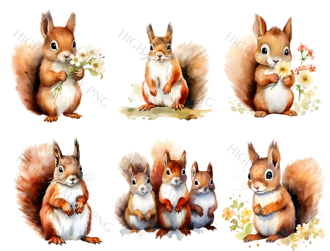 Cute Squirrels Clipart Cute Squirrel Watercolor Clipart Squirrel Png 24 ...