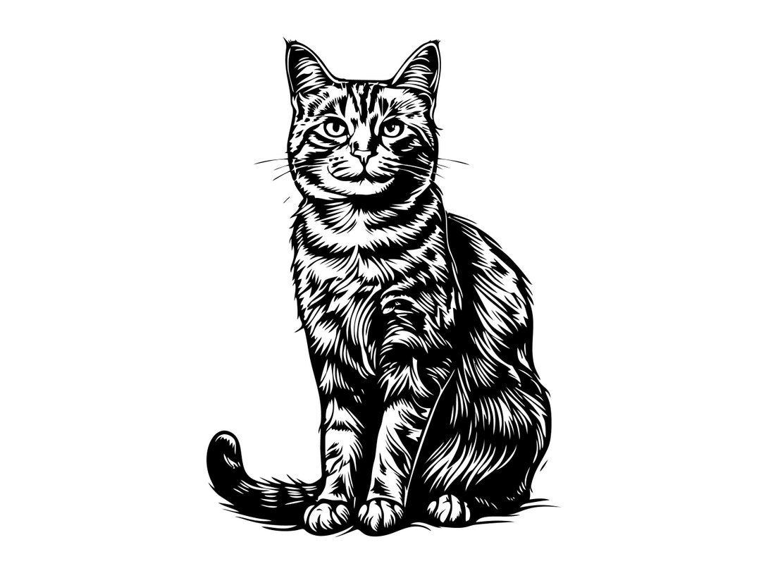 Tabby Cat SVG Image Tabbycat Sitting Png Cat Breeds Svg Cute Tabby Cat ...