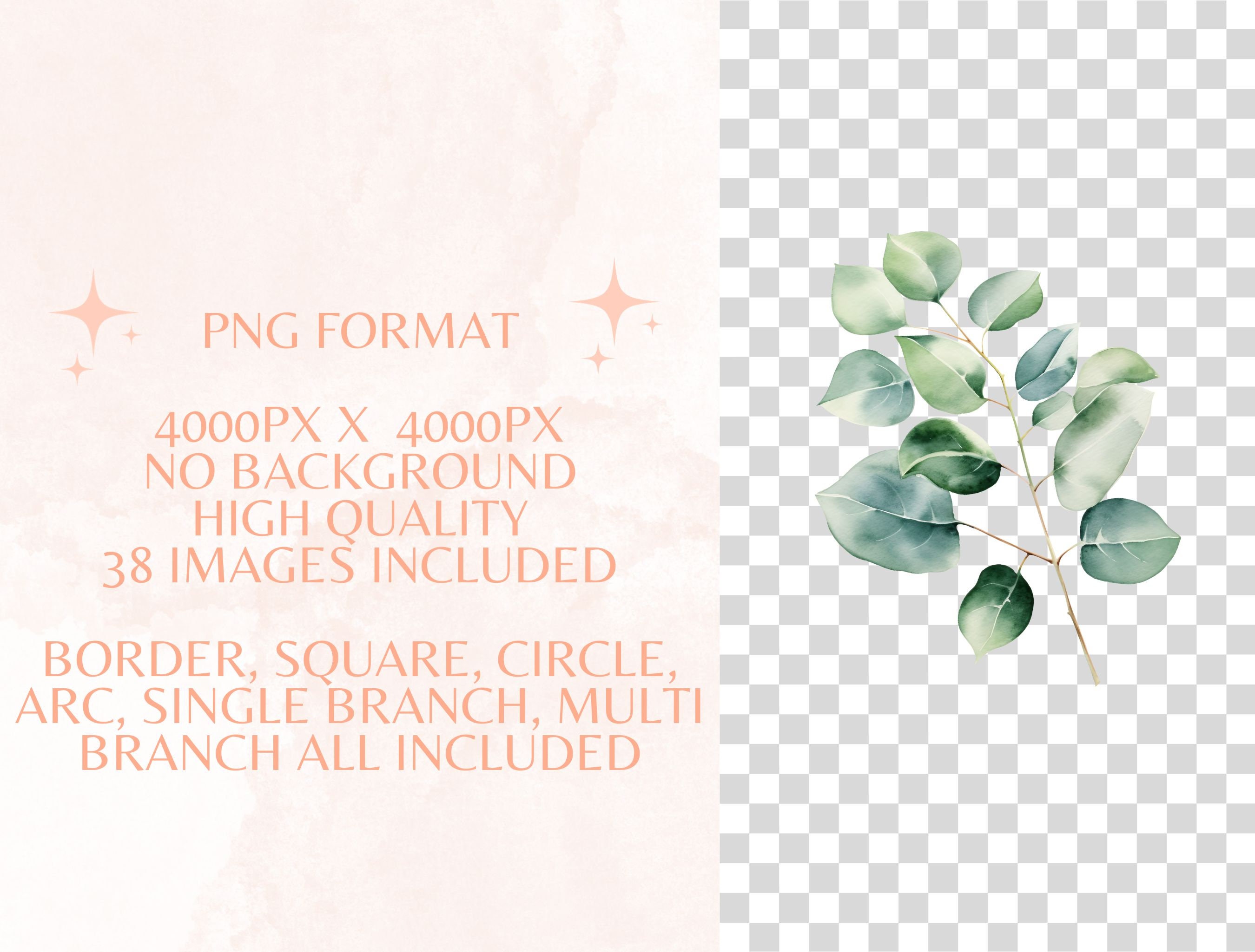 Watercolor Eucalyptus Clipart 38 PNG Greenery Set Baby Shower Green ...