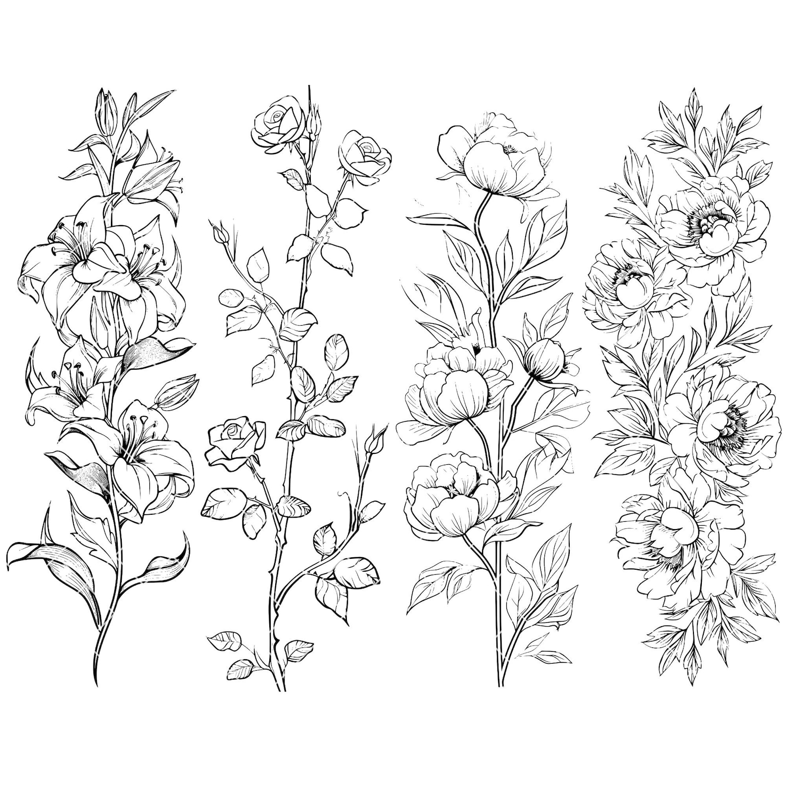 Vertical Floral Borders SVG + PNG Bundle – Delicate Flower Sketch ...
