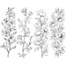 Vertical Floral Borders SVG & PNG Bundle - 24 Flower Images, 48 Total ...