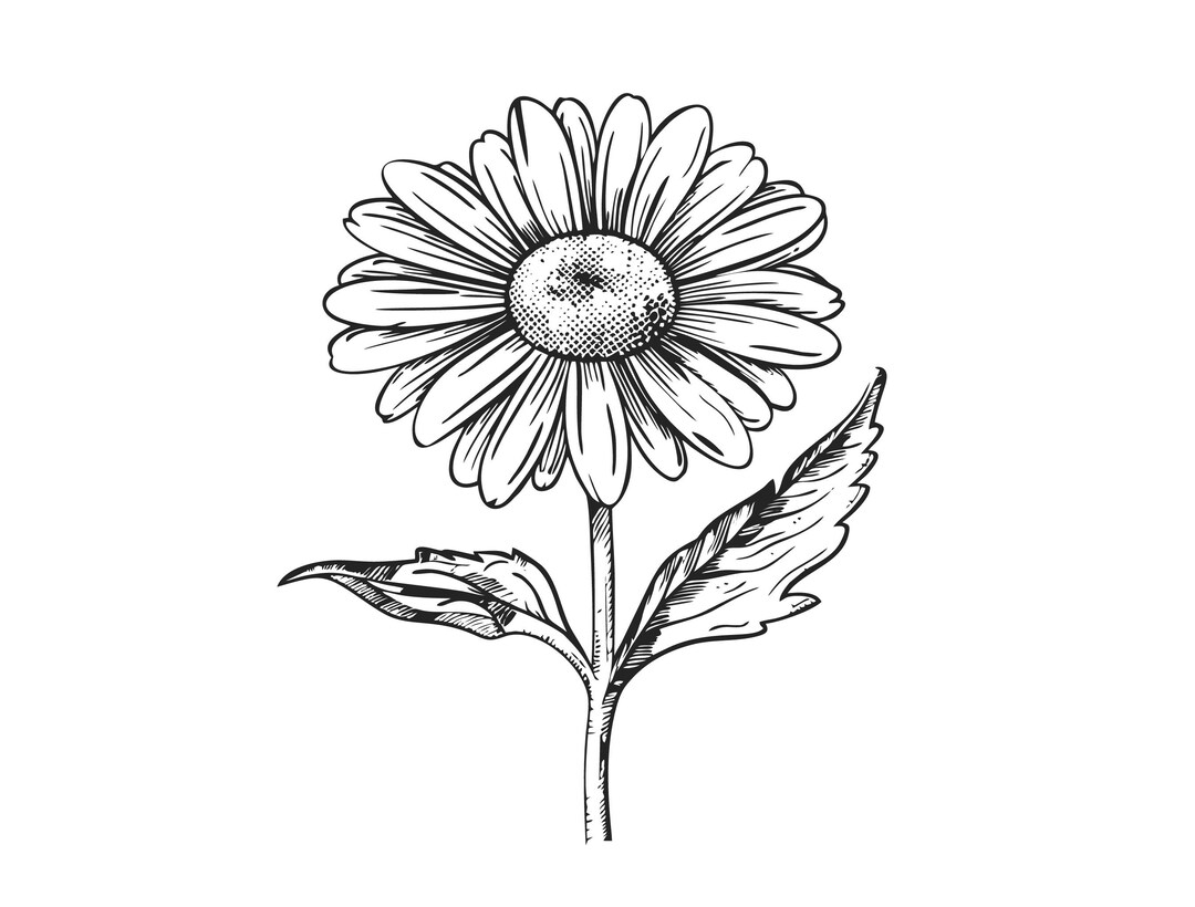 Daisy SVG Floral SVG Single Daisy Clipart Wild Flower SVG Flower Png ...