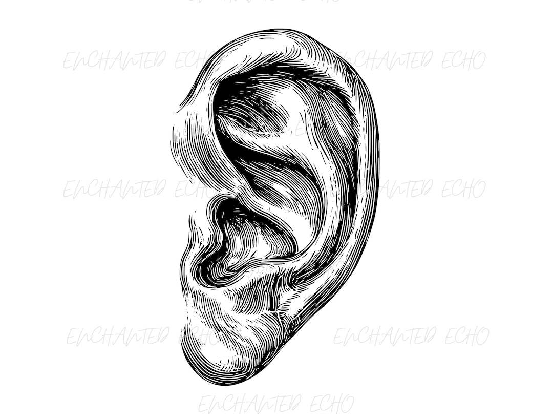 Ear Svg + Png Hearing Png Listen Svg Ear Profile Svg - Etsy