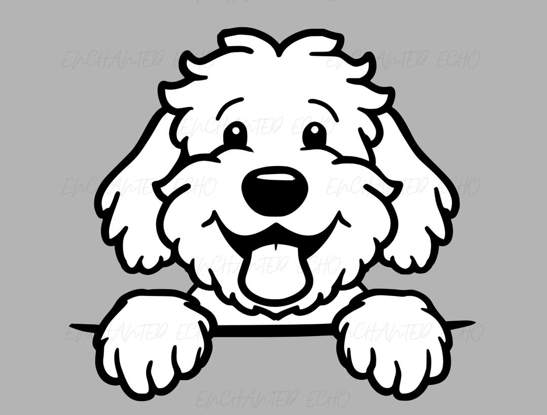 Peeking Goldendoodle PNG – White Dog Transparent Background Clipart ...