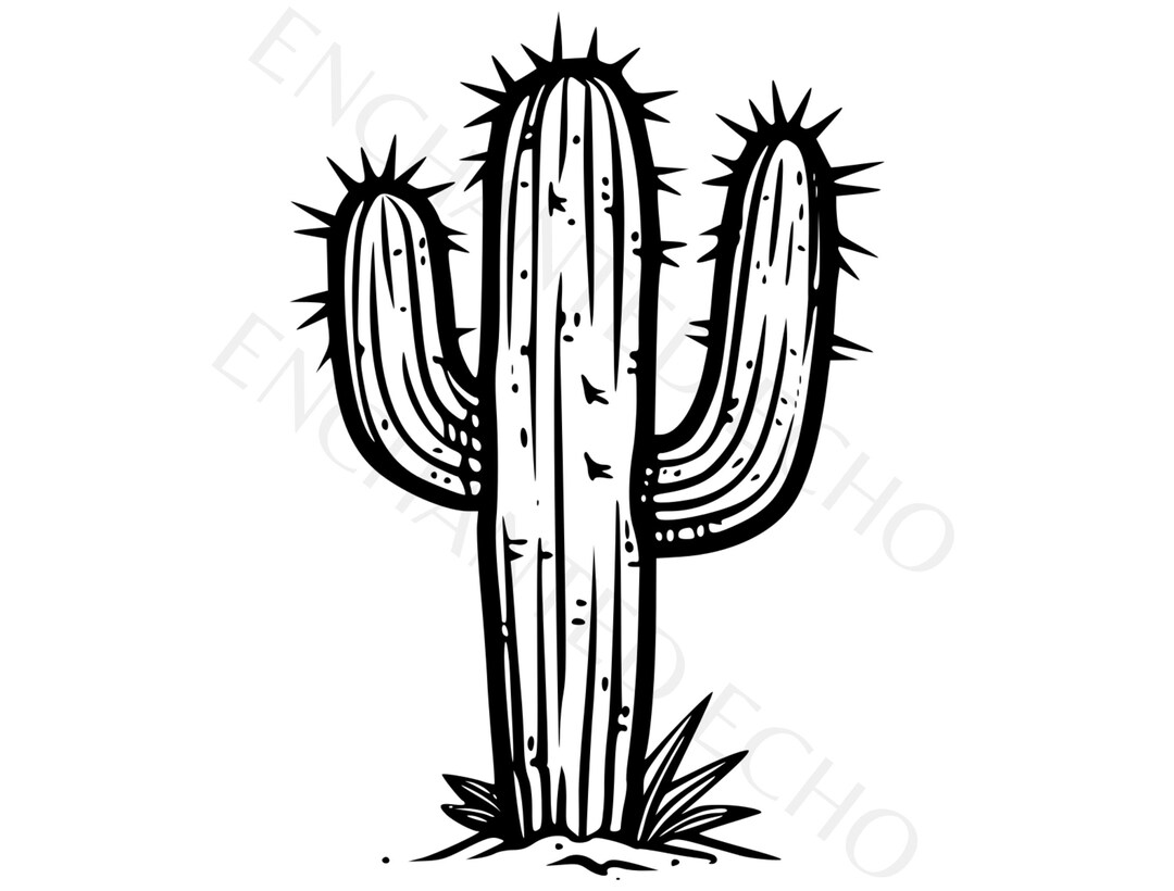 Western Cactus SVG PNG Set Cactus Vector Cactus Silhouette Cacti ...