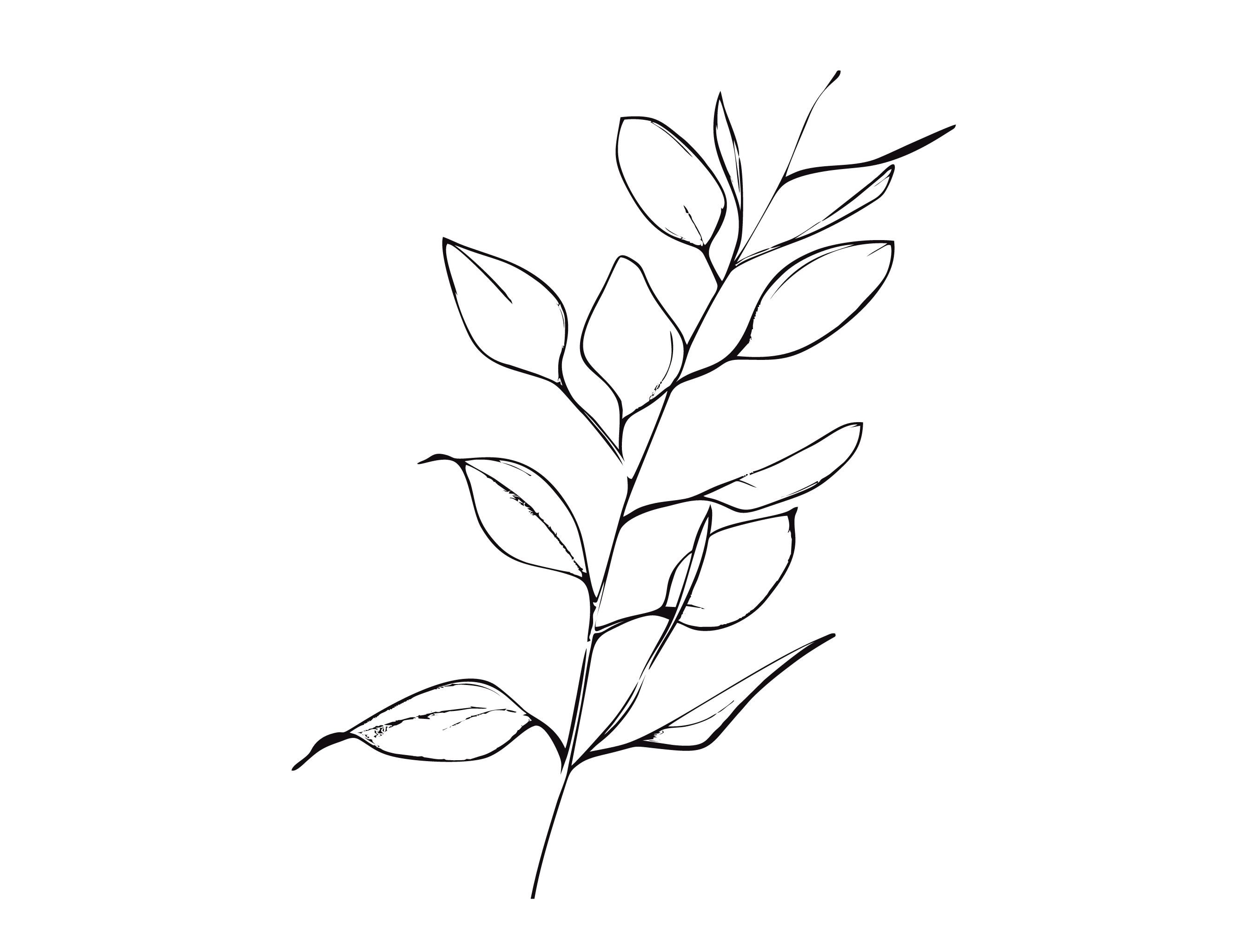 Eucalyptus SVG Bundle 5 Files Included Branch SVG High Quality Digital ...