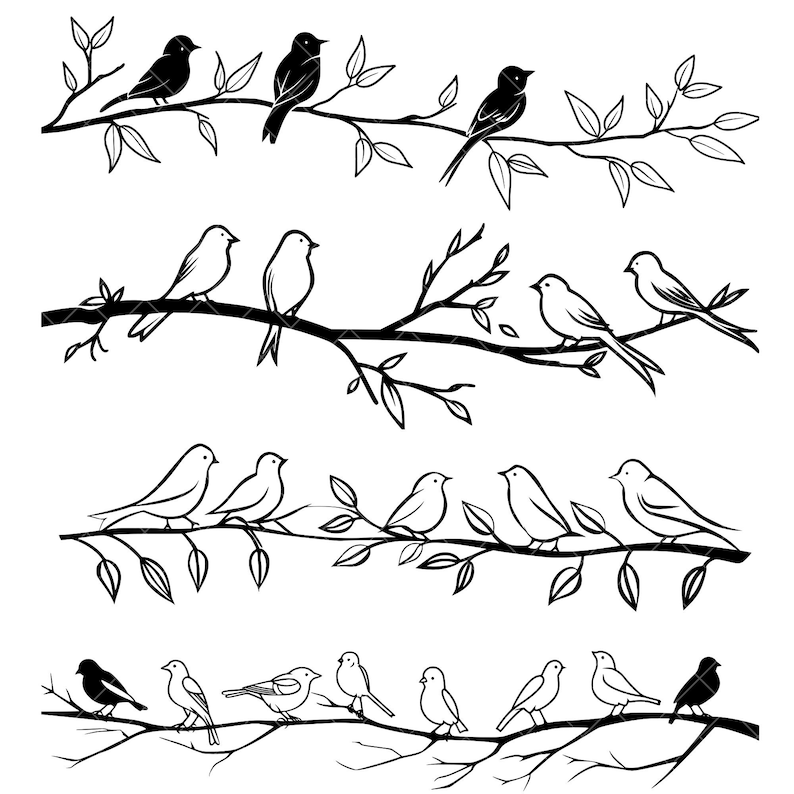 Birds on Branch SVG + PNG Bundle – Bird Border Sublimation Design - Etsy