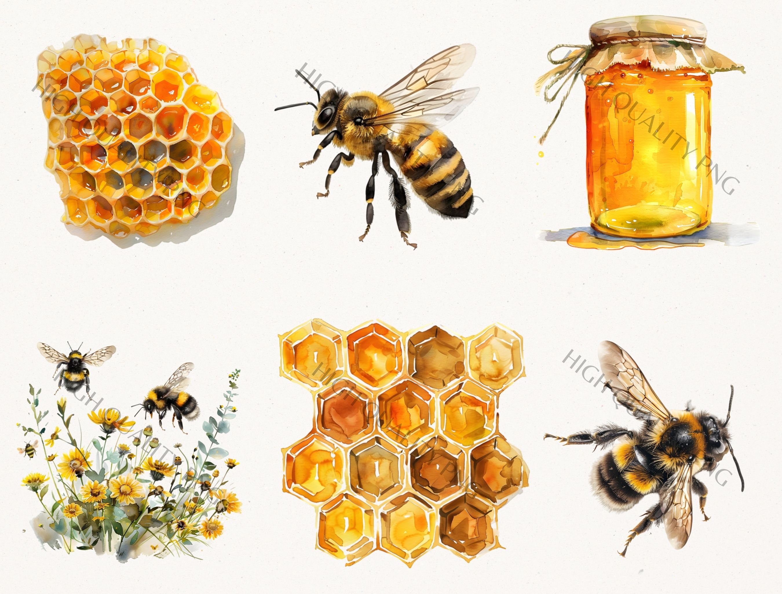 Watercolor Bee Clipart Beekeeper Pollen Flowers Garden Beehive ...