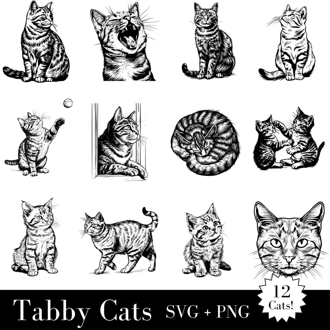 Tabby Cats SVG and PNG 12 Cats Included - Etsy