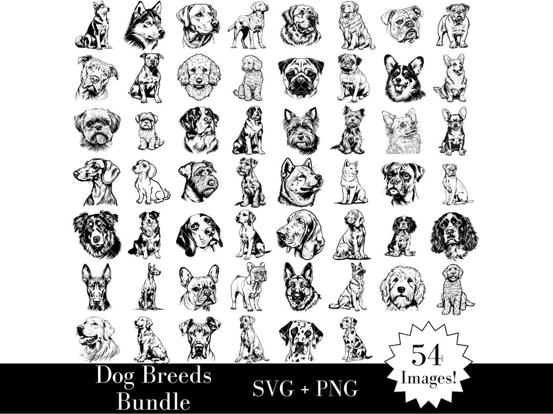Paquete de imágenes SVG y PNG de razas de perros: 54 imágenes ...