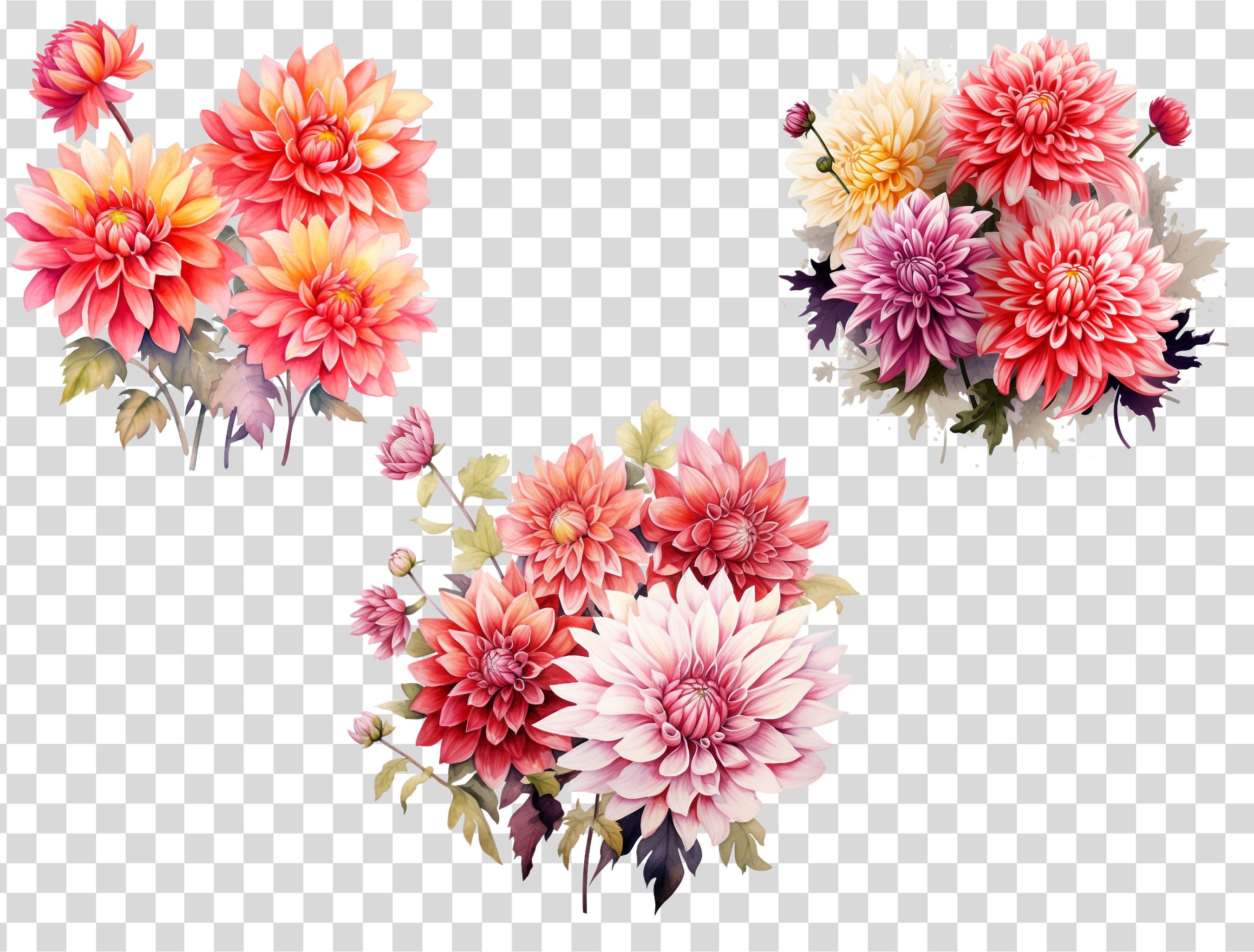 Dahlia Clipart Wild Floral PNG Bundle 48 High Quality Images Floral ...