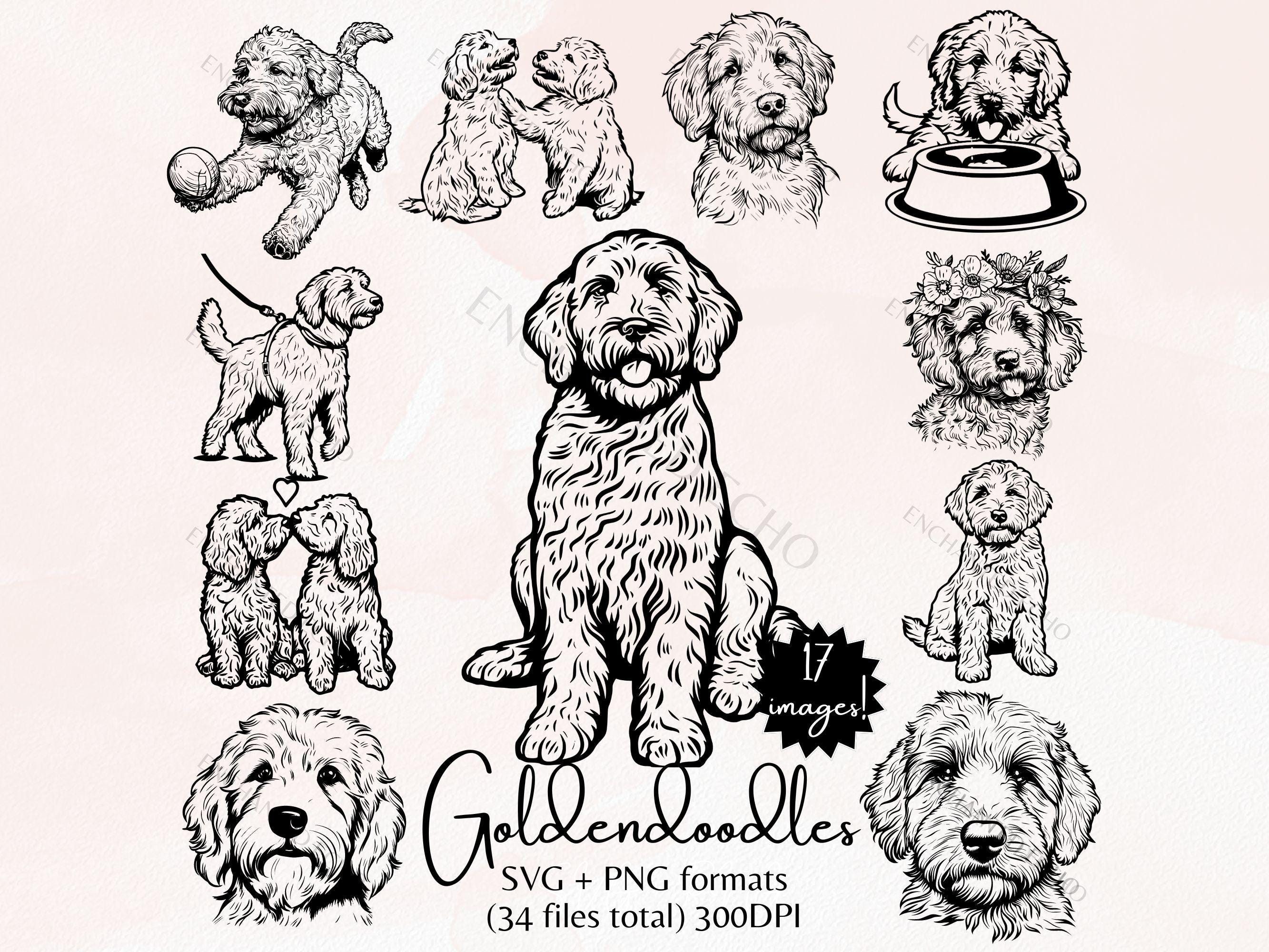 Goldendoodles SVG and PNG Bundle - Golden Doodle Puppies Clipart Pack ...