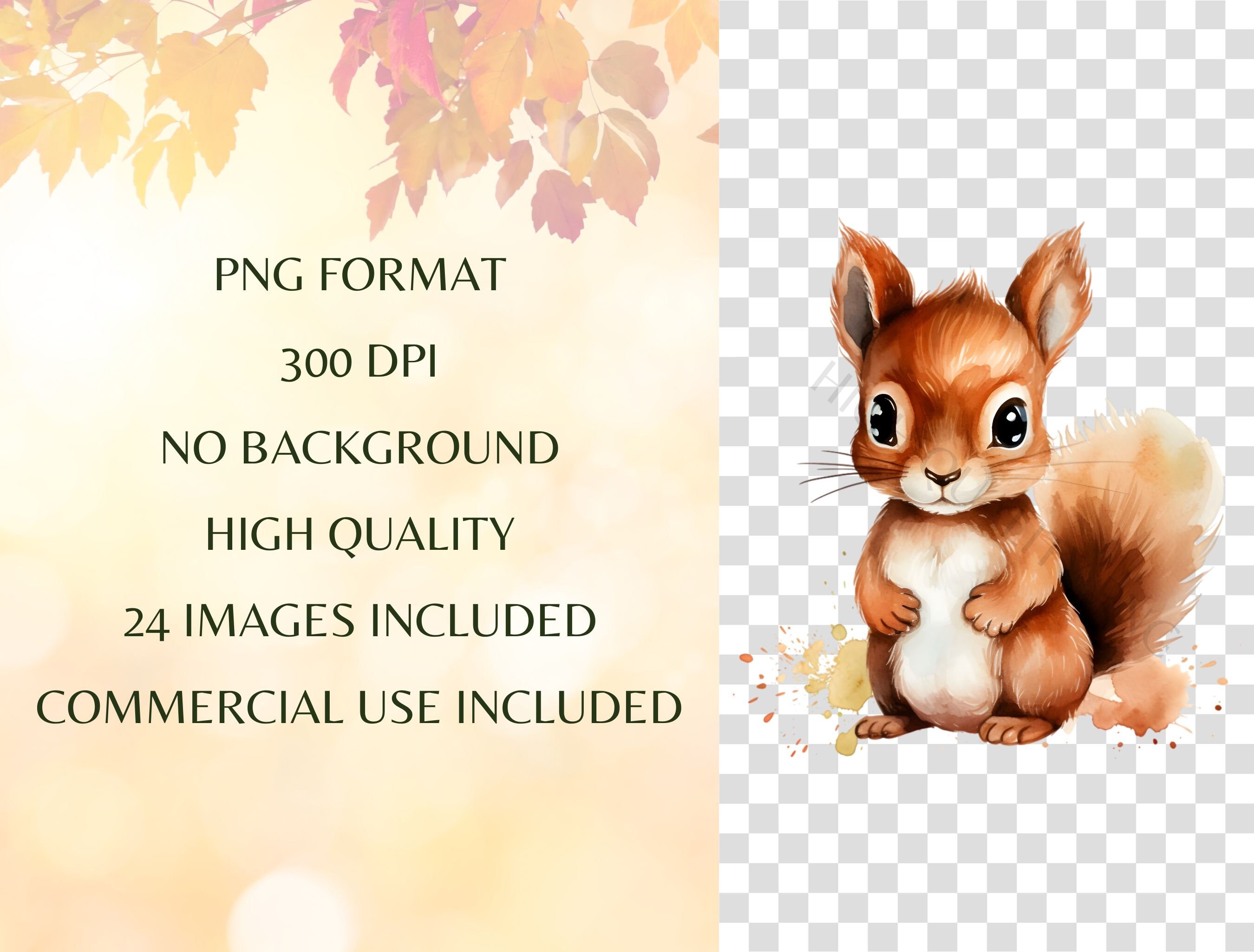 Cute Squirrels Clipart Cute Squirrel Watercolor Clipart Squirrel Png 24 ...