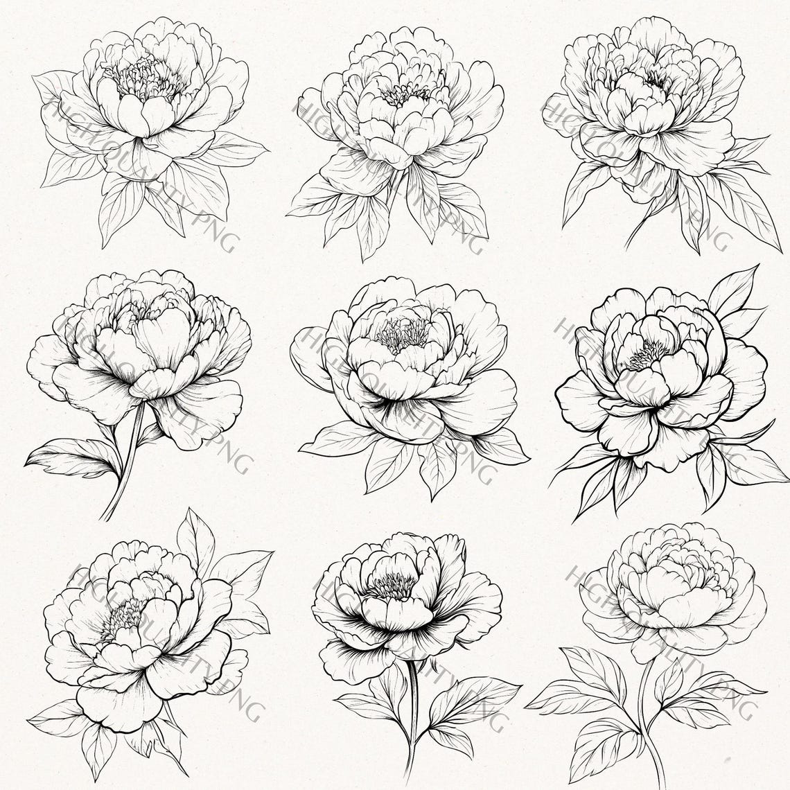 Blooming Peonies SVG & PNG Bundle - 25 Images 50 Total Files - Delicate ...