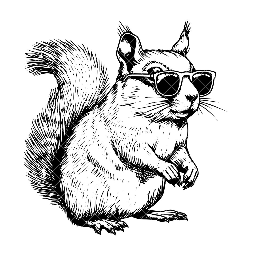 Squirrel With Sunglasses SVG + PNG Cool Squirrel Graphic - Funny ...
