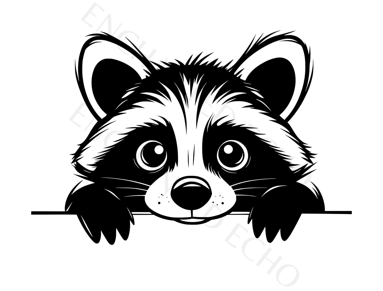 Peeking Raccoon Svg + Png Cute Raccoon SVG PNG - Etsy