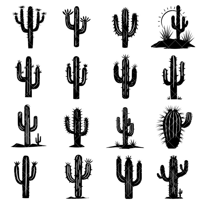Cactus Silhouette SVG & PNG Bundle - 60 Cactus Graphics Included, 120 ...