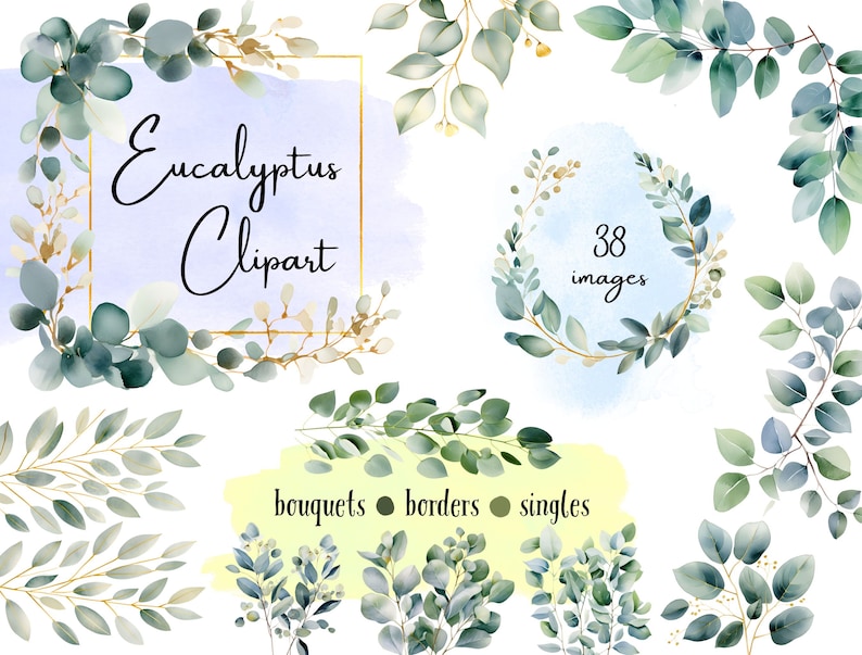 Watercolor Eucalyptus Clipart 38 PNG Greenery Set Baby Shower Green ...