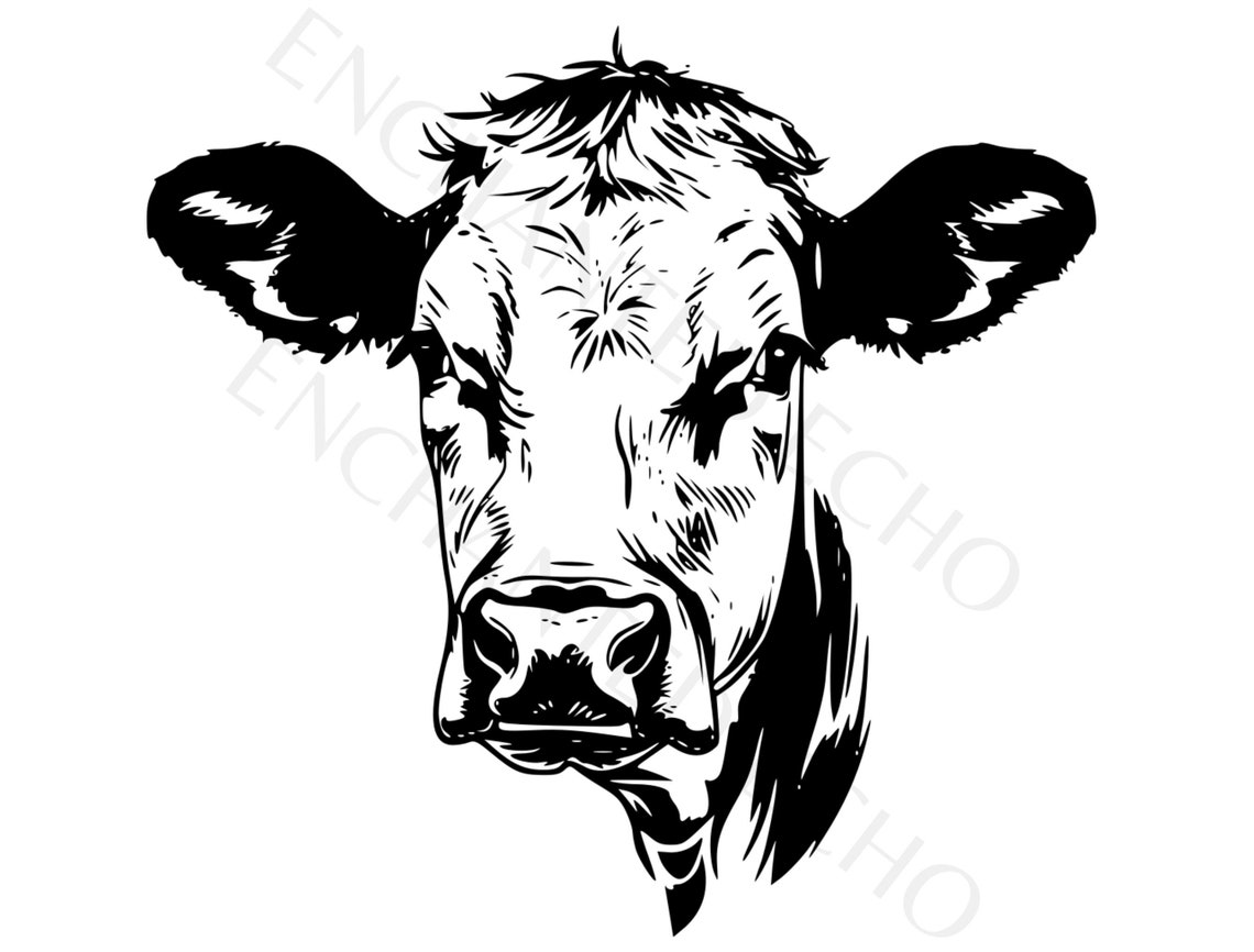 Cow Head SVG + PNG Set – Heifer Face Clipart, Farm Animal Silhouette ...