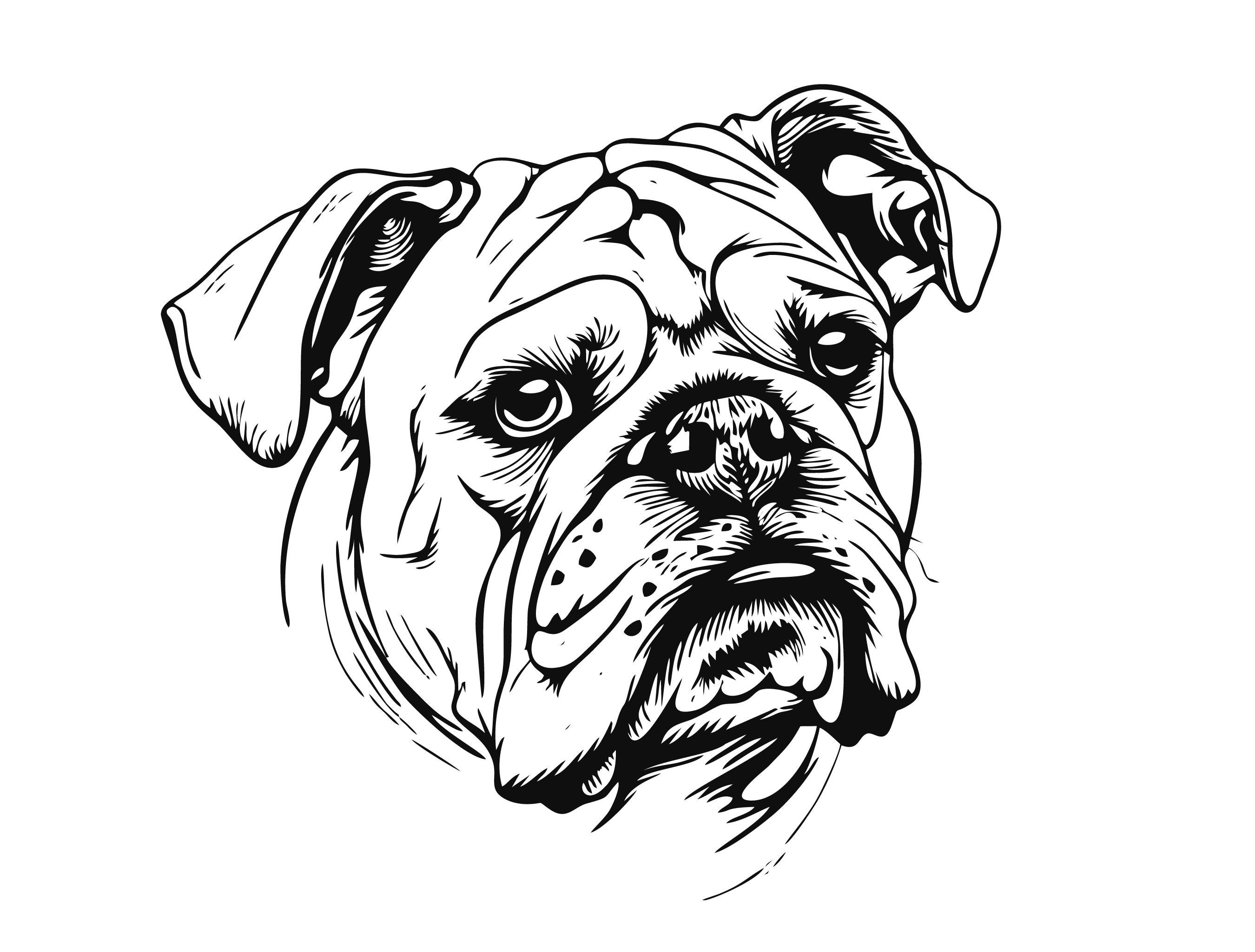 Bull Dog Face SVG Image Bulldog Standing Png Dog Breeds Svg Cute ...
