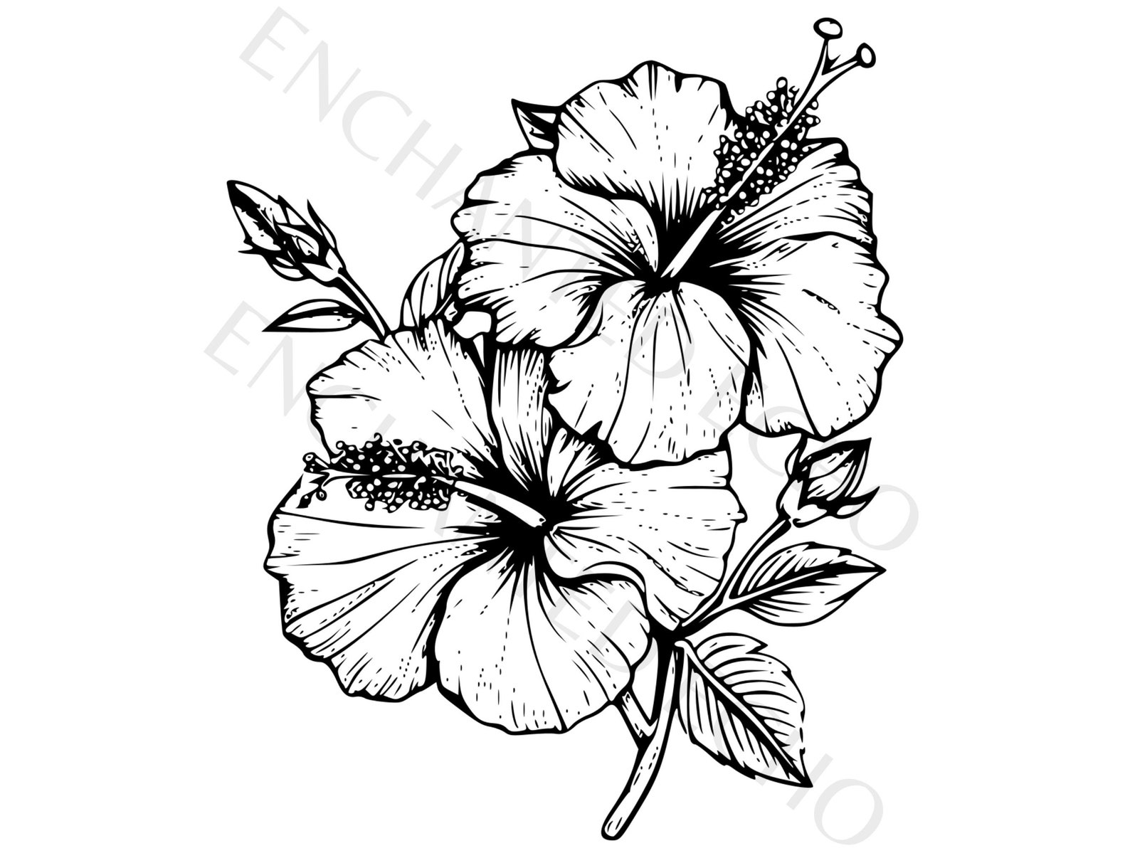 Hibiscus Flowers SVG Floral SVG Delicate Wild Flower SVG Flower Bouquet ...